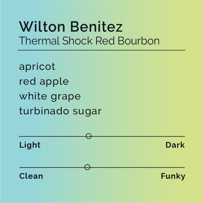 Wilton Benitez Thermal Shock Red Bourbon | Colombia | Black & White Coffee Roasters