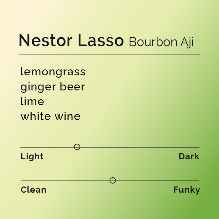 Nestor Lasso Bourbon Aji | Colombia | Black & White Coffee Roasters