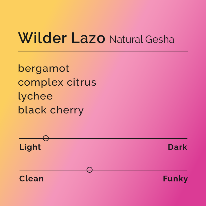 Wilder Lazo Natural Gesha | Colombia | Black & White Coffee Roasters