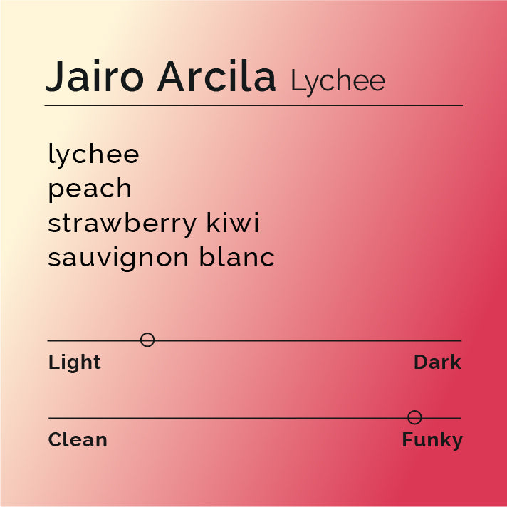 Jairo Arcila Lychee | Colombia | Black & White Coffee Roasters